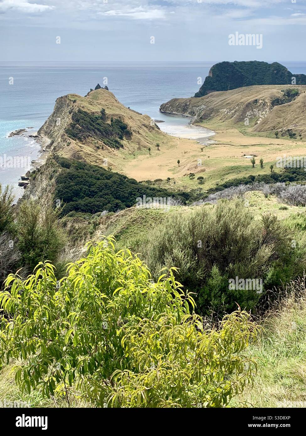 Cook’s cove walkway hi-res stock photography and images - Alamy