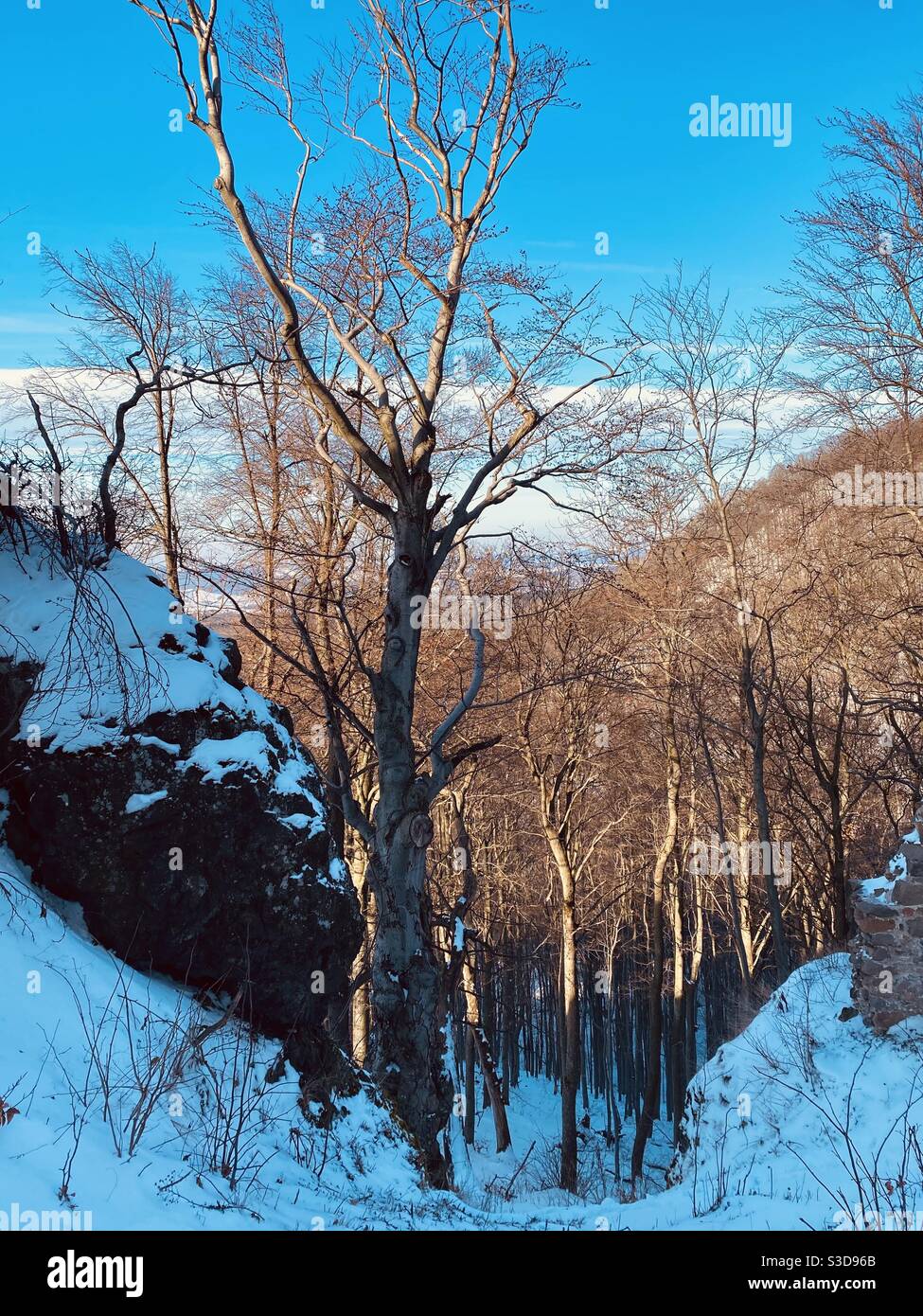 Soldier field snow hi-res stock photography and images - Alamy
