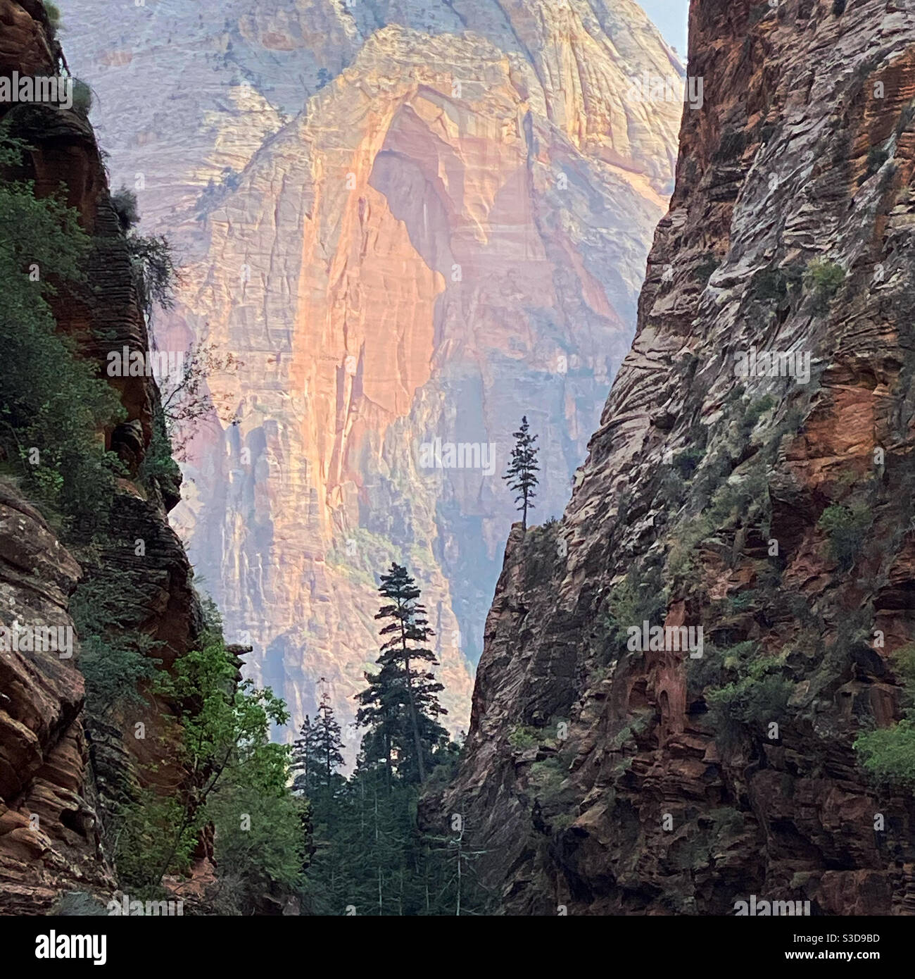 Angles landing hike hi-res stock photography and images - Alamy