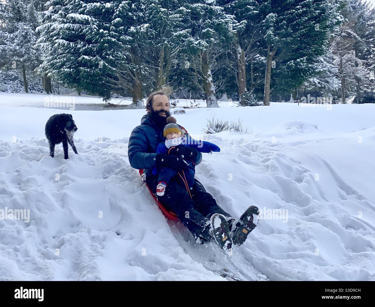 Sledging snow hi-res stock photography and images - Alamy
