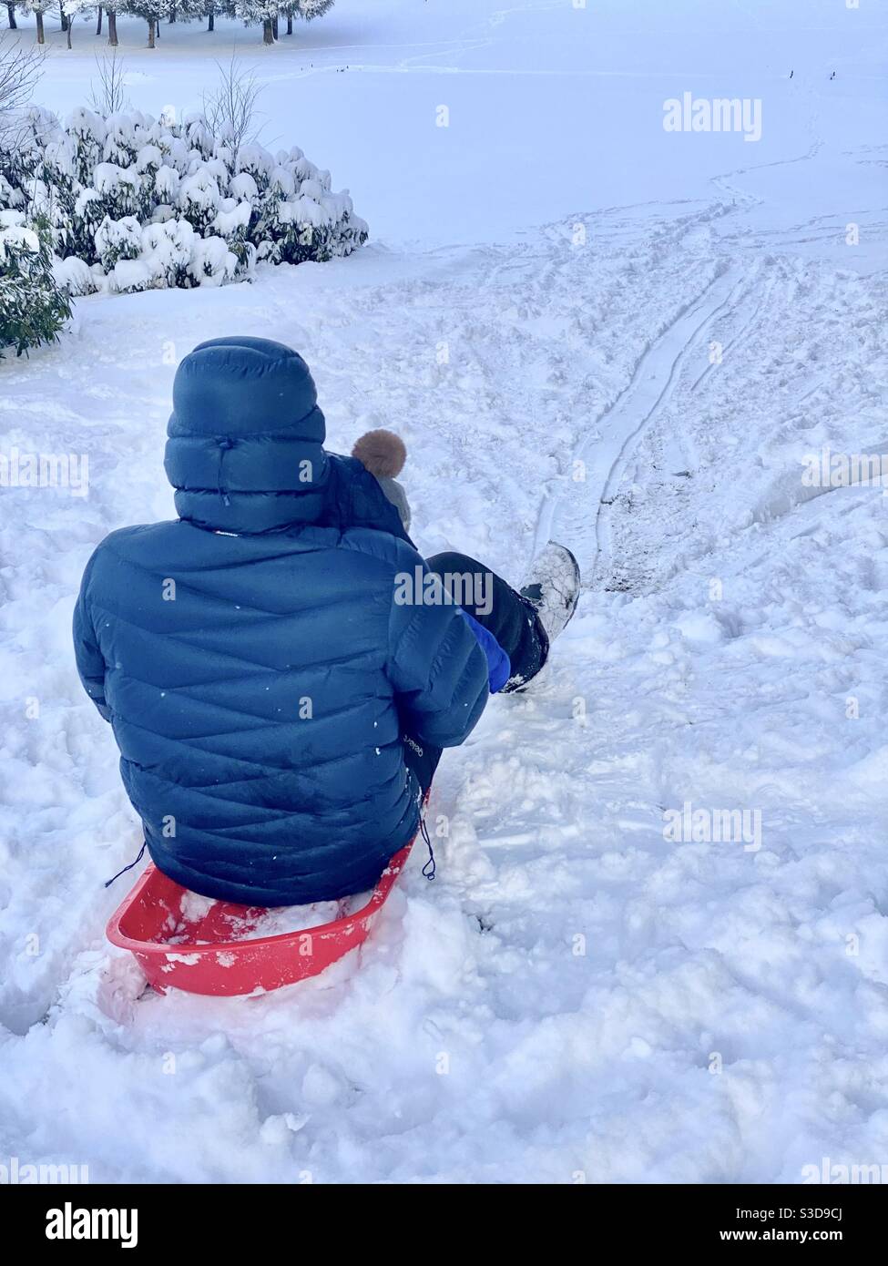 Sledging down hill hi-res stock photography and images - Alamy