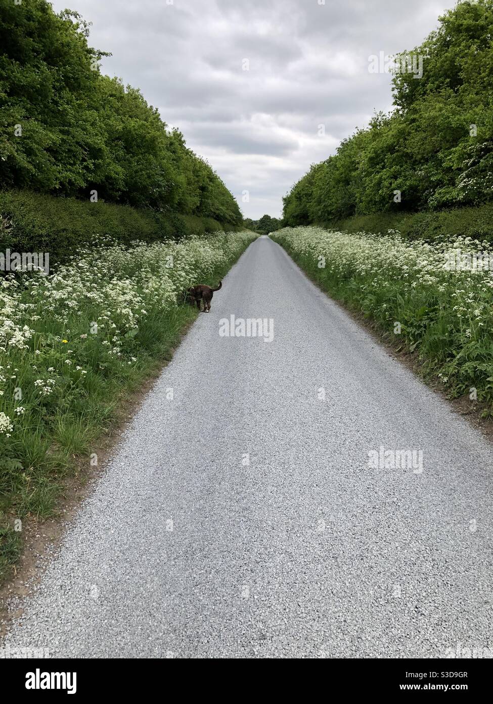 Carming hi-res stock photography and images - Alamy