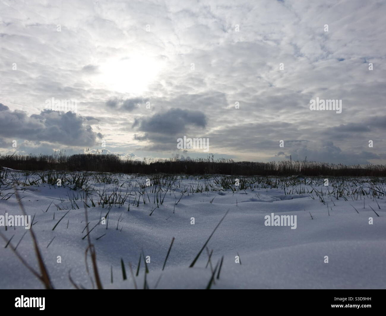 Sun in winter Stock Photo - Alamy