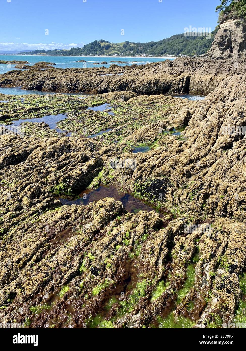 Ohope new zealand hi-res stock photography and images - Alamy