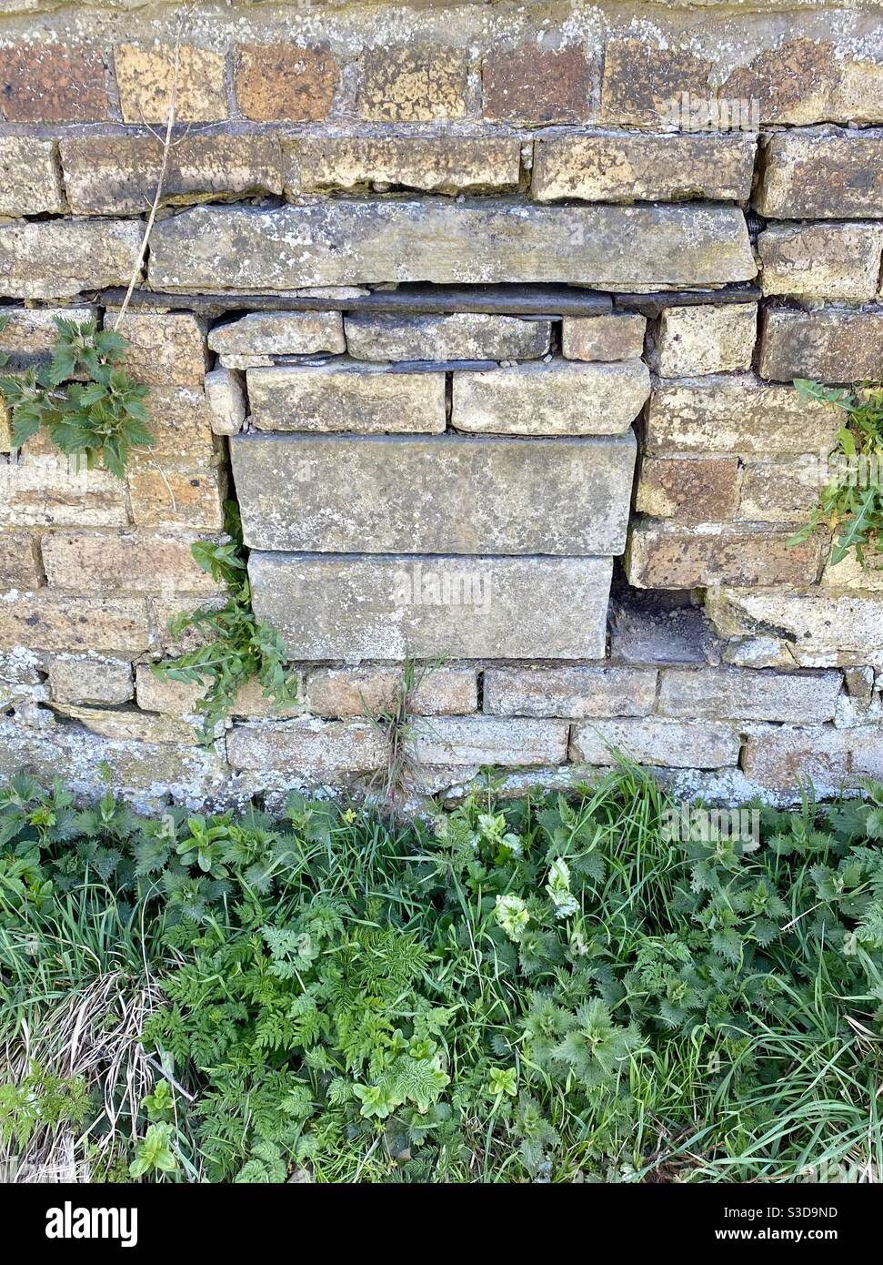 Weeds wall hi-res stock photography and images - Alamy