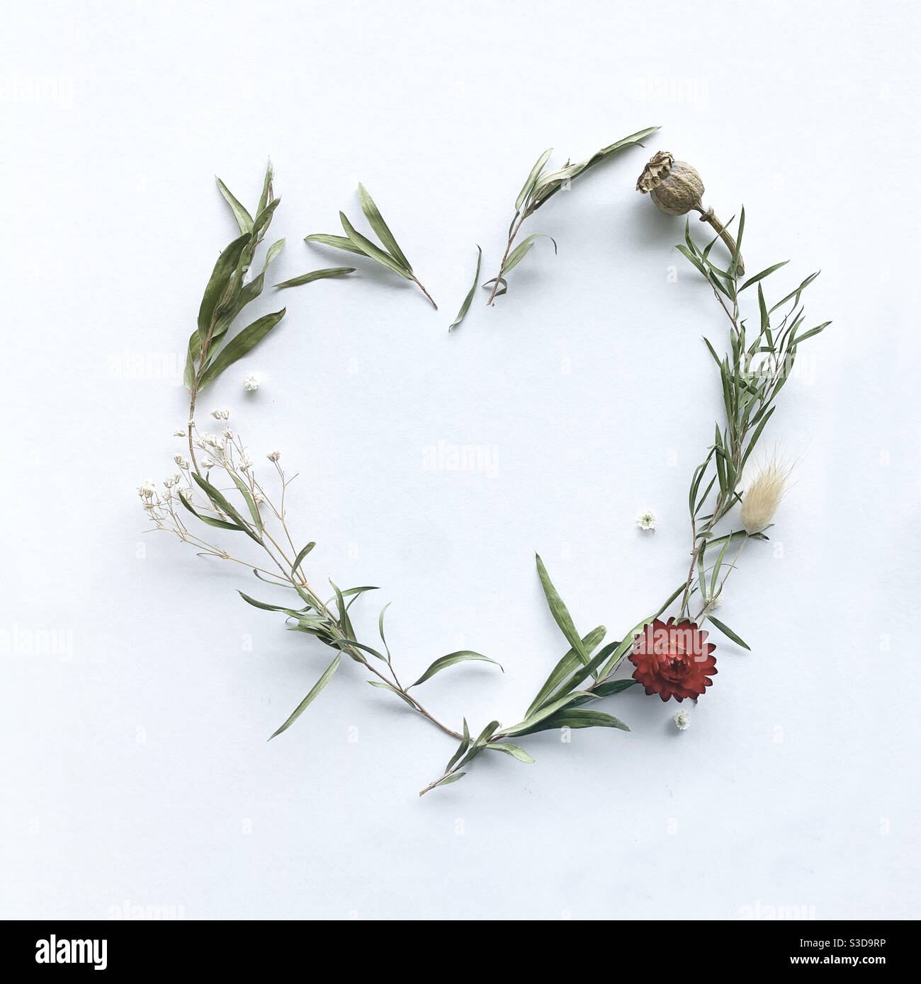 Beautiful dried flowers tracing a heart shape against a neutral ...