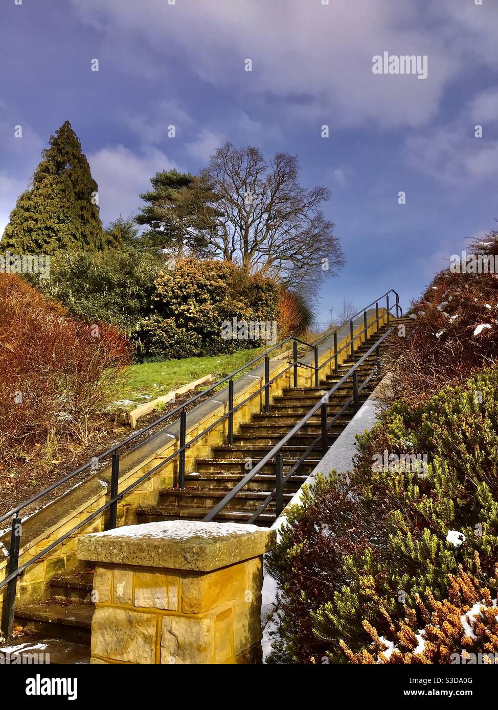 Park steps hi-res stock photography and images - Alamy