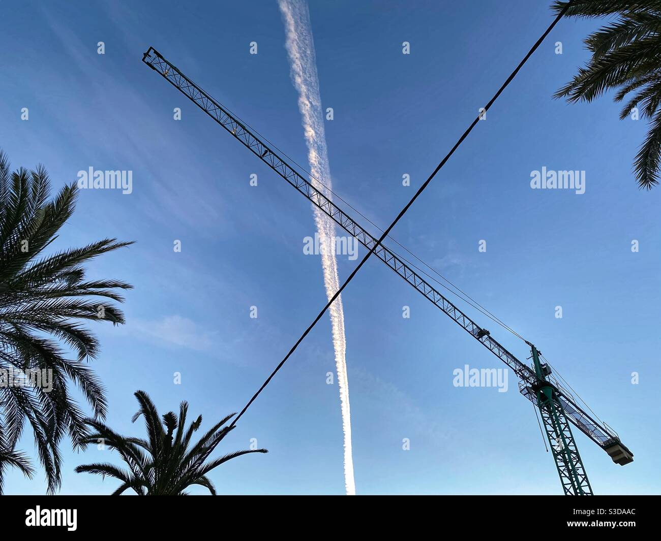 Palm trees crossing hi-res stock photography and images - Alamy