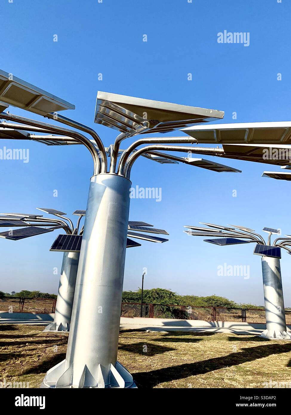Solar trees at National salt memorial,Dandi,Gujarat India Stock Photo ...