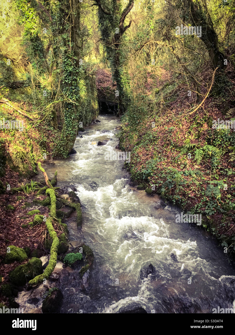 Barn and river hi-res stock photography and images - Alamy