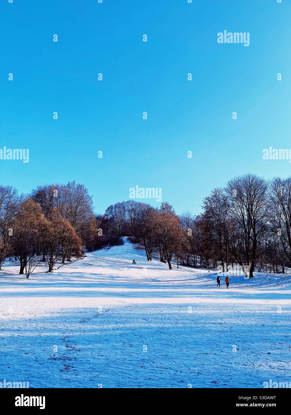 Minga hi-res stock photography and images - Alamy