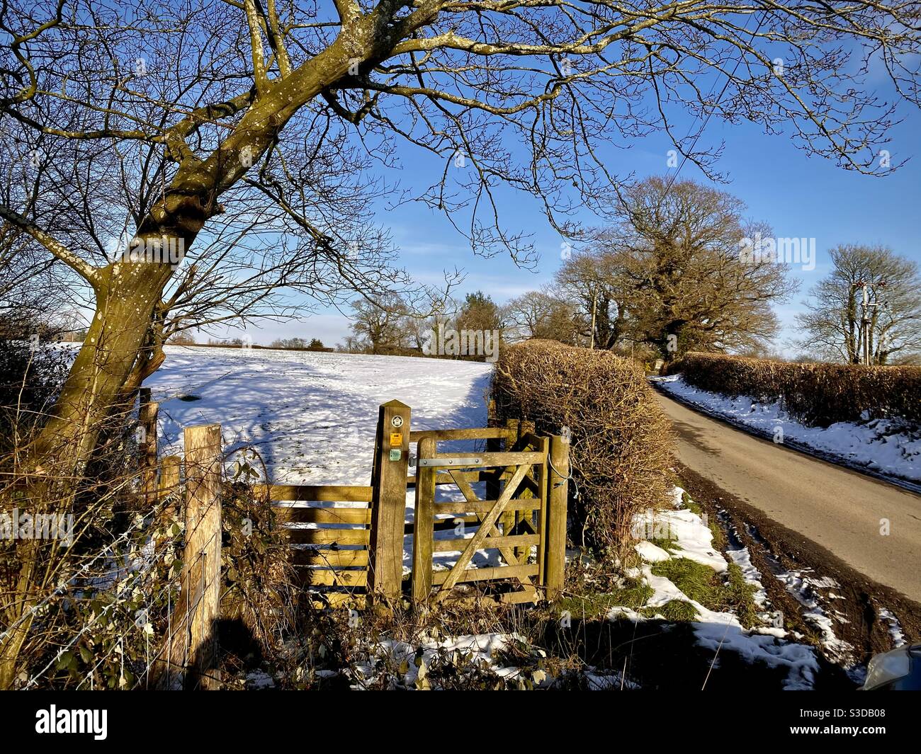 Wooden gate path pathway hi-res stock photography and images - Alamy