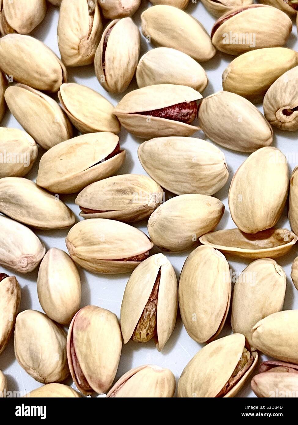 Pistachio pistacia hi-res stock photography and images - Alamy