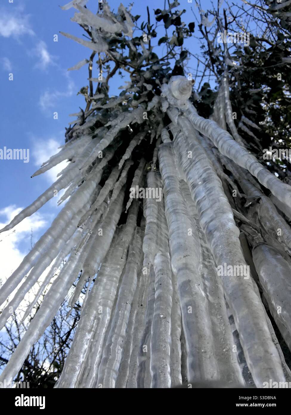 Icicles on a tree hi-res stock photography and images - Alamy