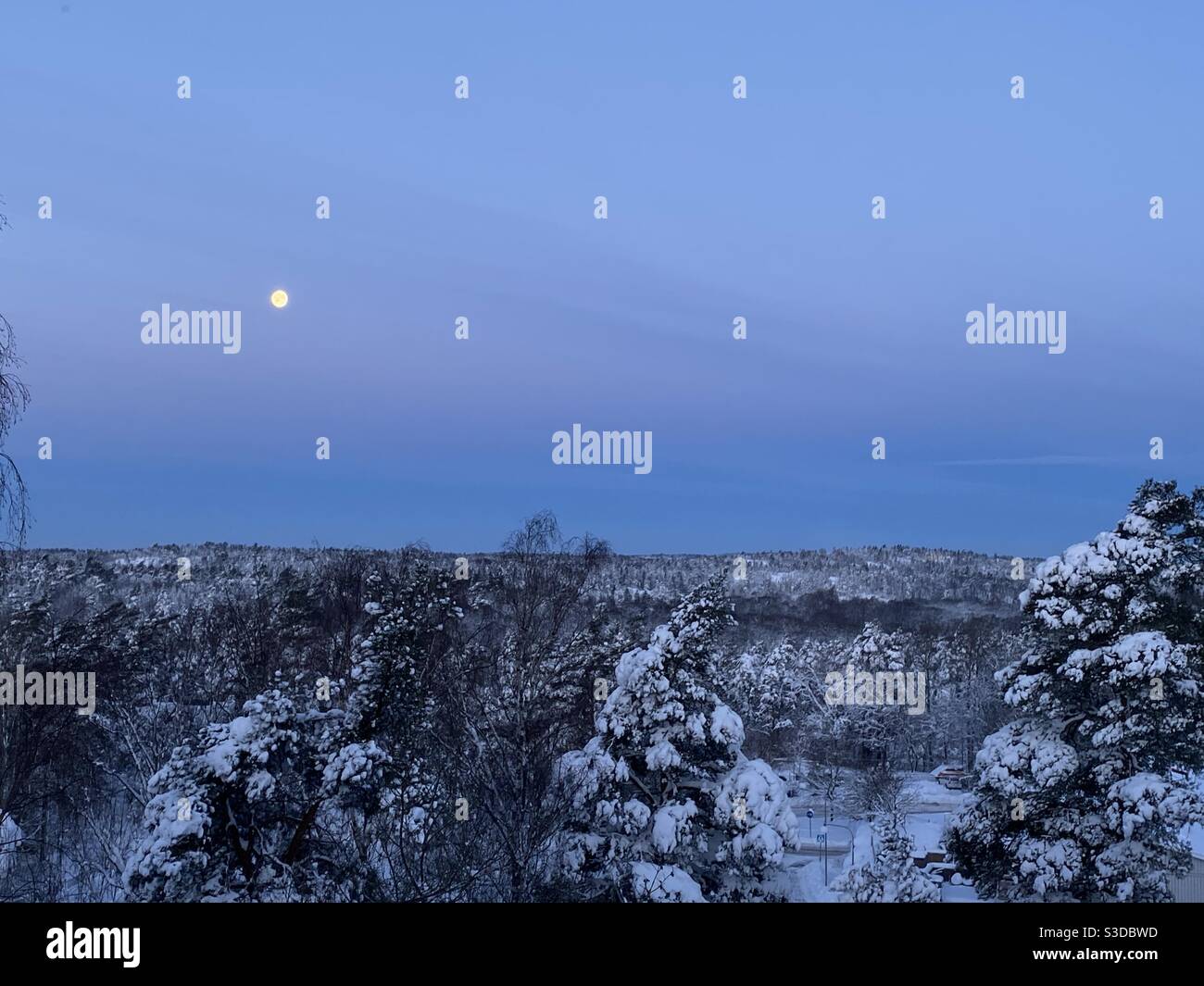 Full moon on a winter morning, Nynäshamn, Sweden Stock Photo - Alamy