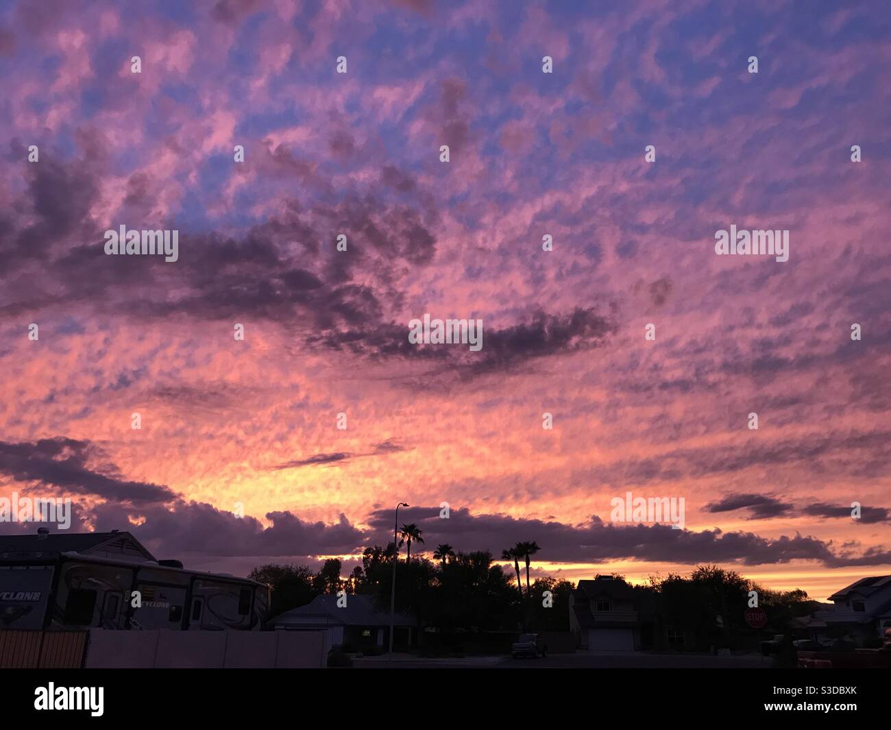 Pink phoenix hi-res stock photography and images - Alamy