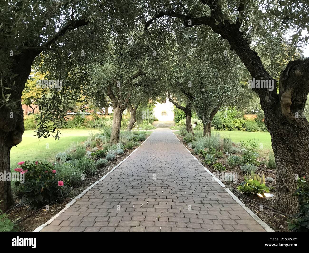 Tree tunnel garden path hi-res stock photography and images - Alamy