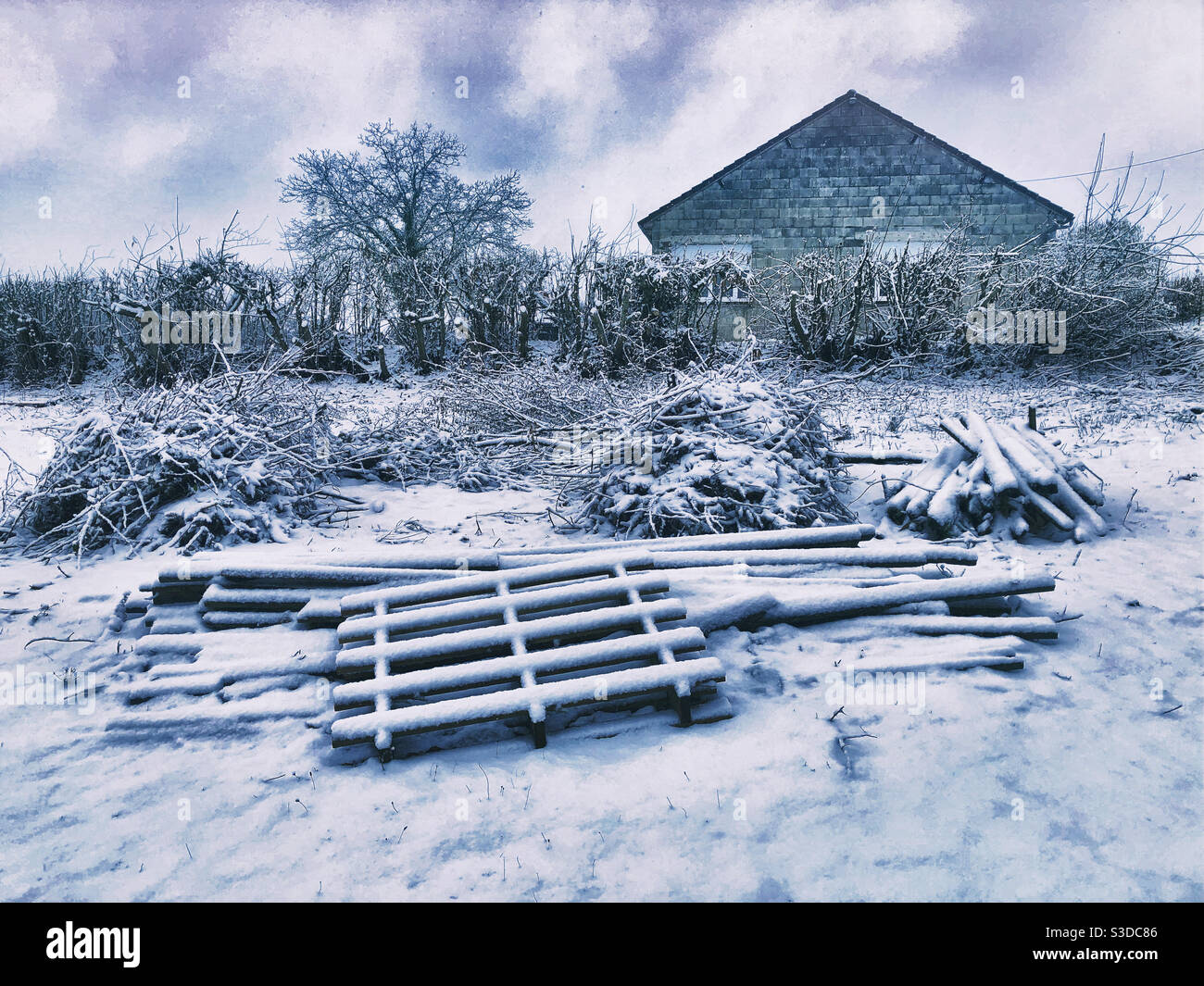 Timber in the snow Stock Photo - Alamy