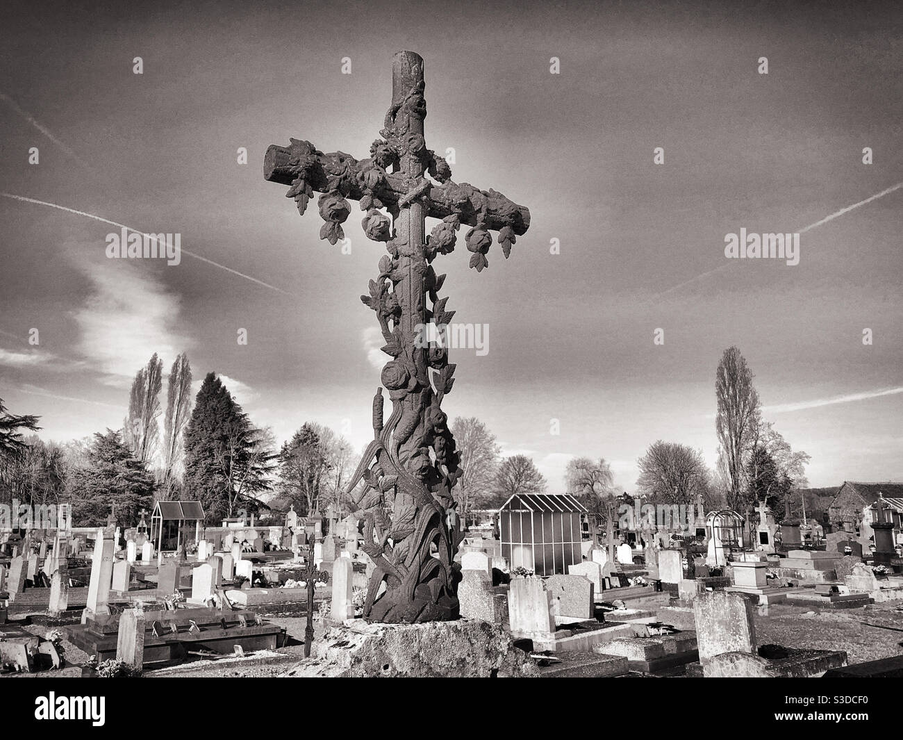 Dead cemetery smartphone stock photos and images - Alamy