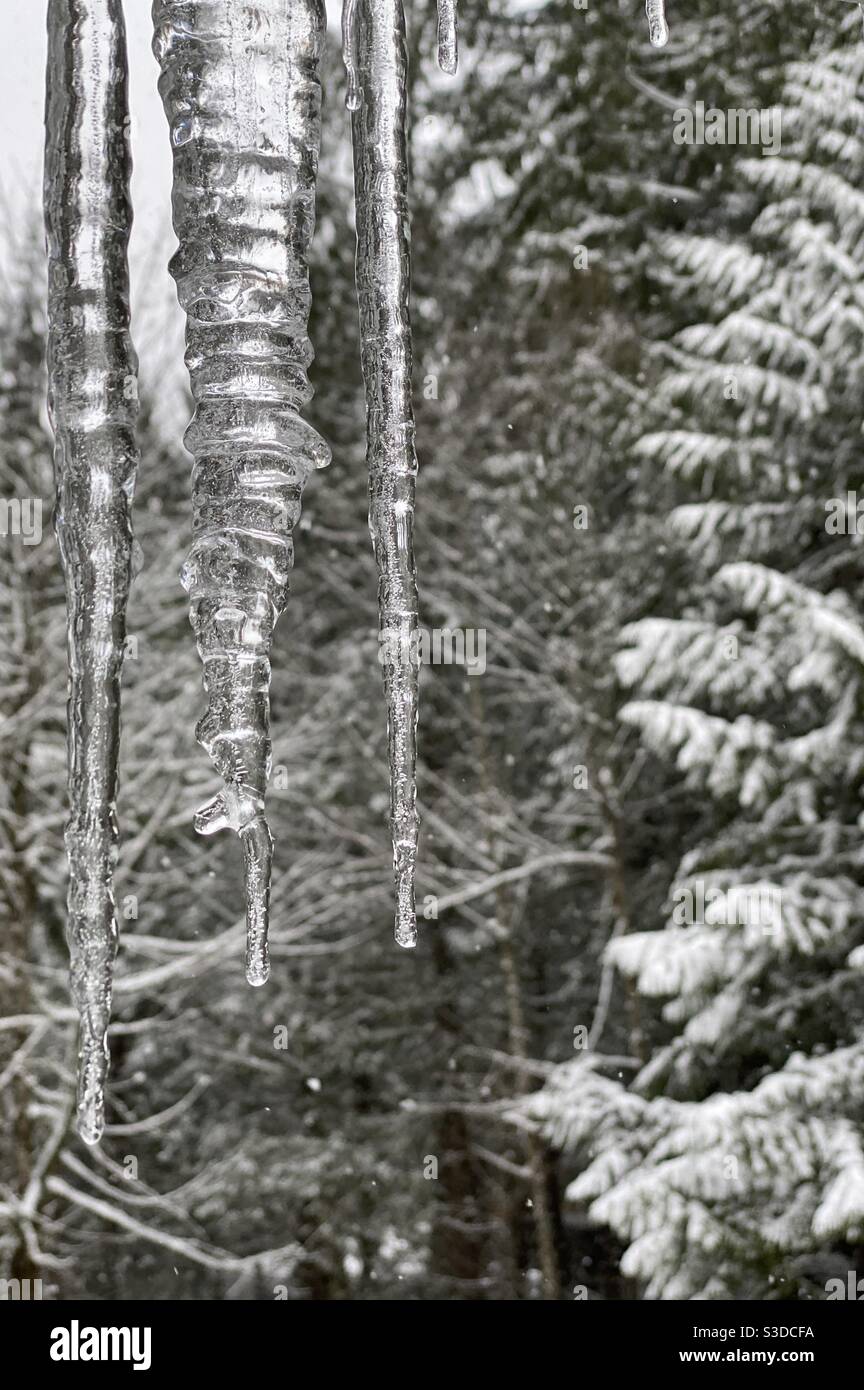 Ice cycles after snow storm Stock Photo - Alamy