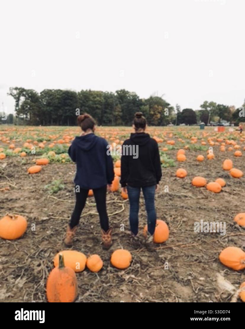 Vintage pumpkin patch hi-res stock photography and images - Alamy