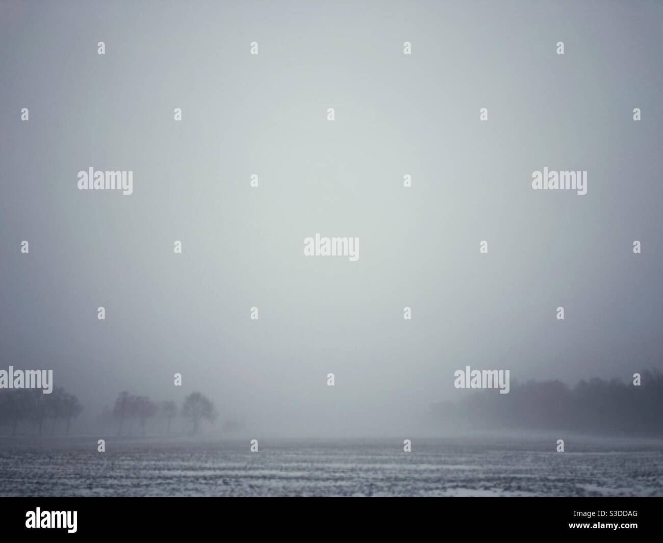 A flat rural landscape in winter in the Fog Stock Photo - Alamy