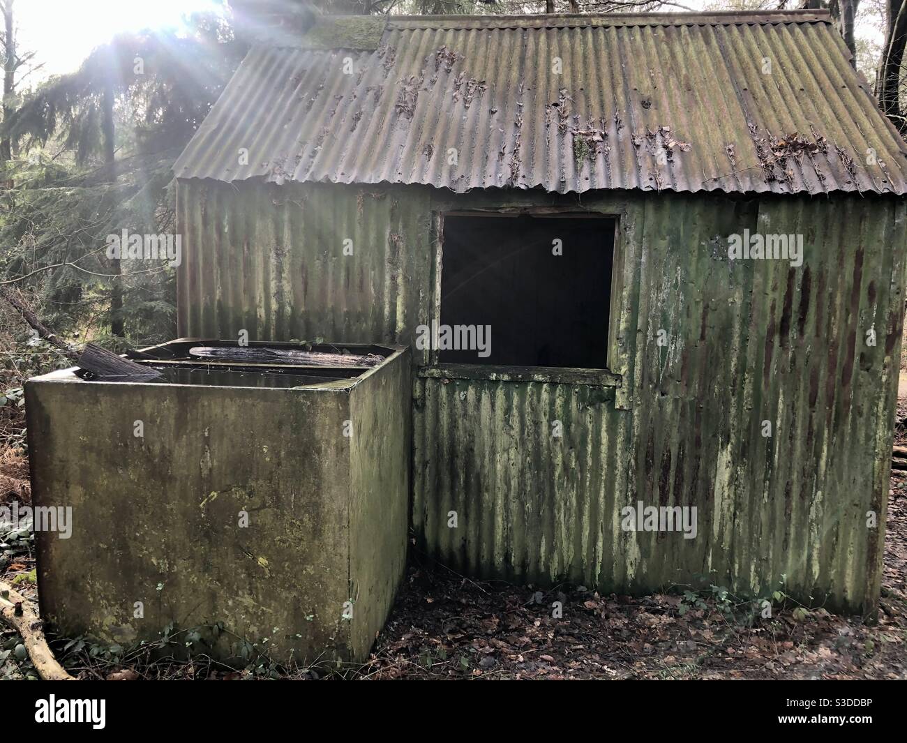 Creepy old shed hi-res stock photography and images - Alamy