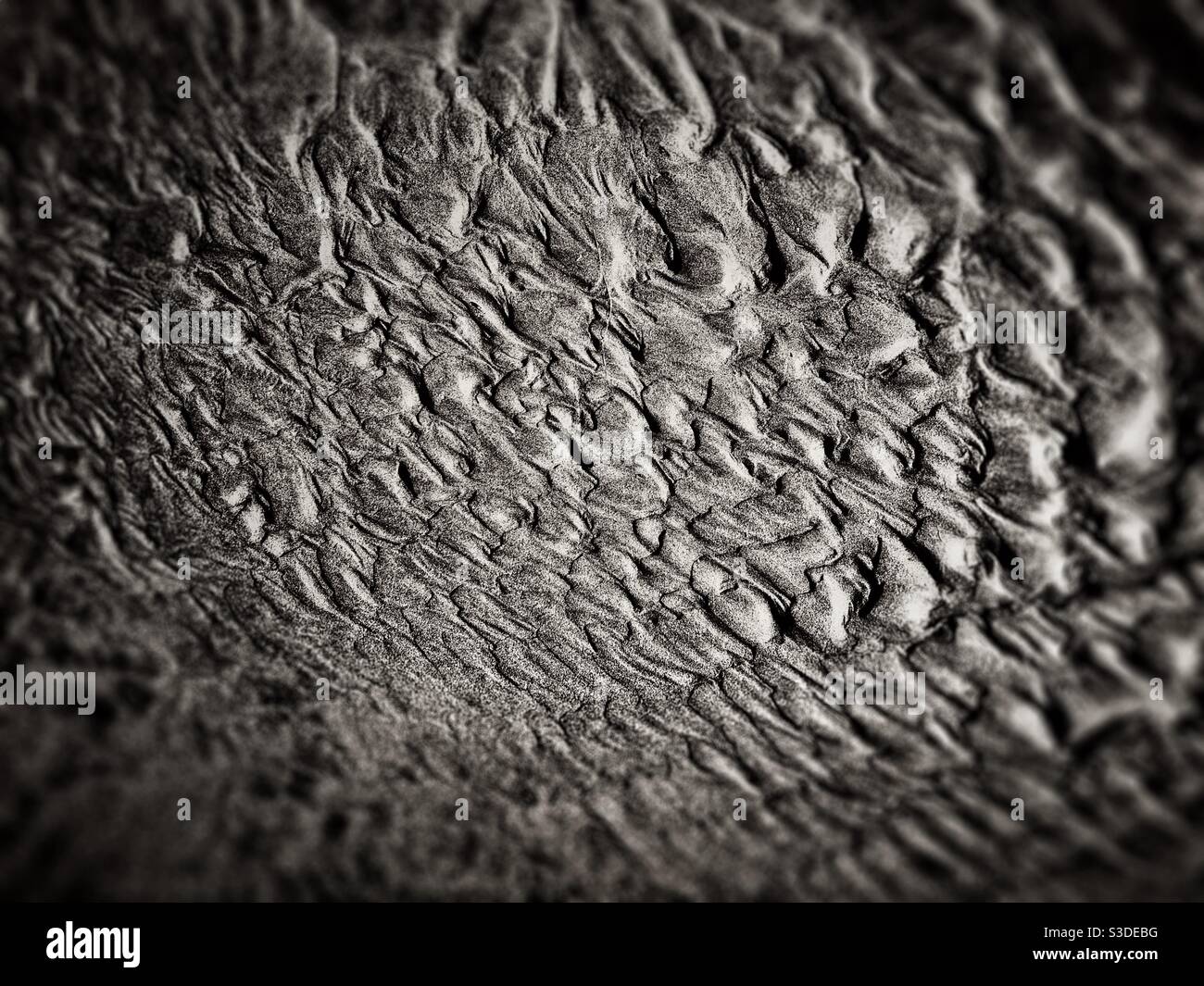 Textured surface wet sand hi-res stock photography and images - Alamy