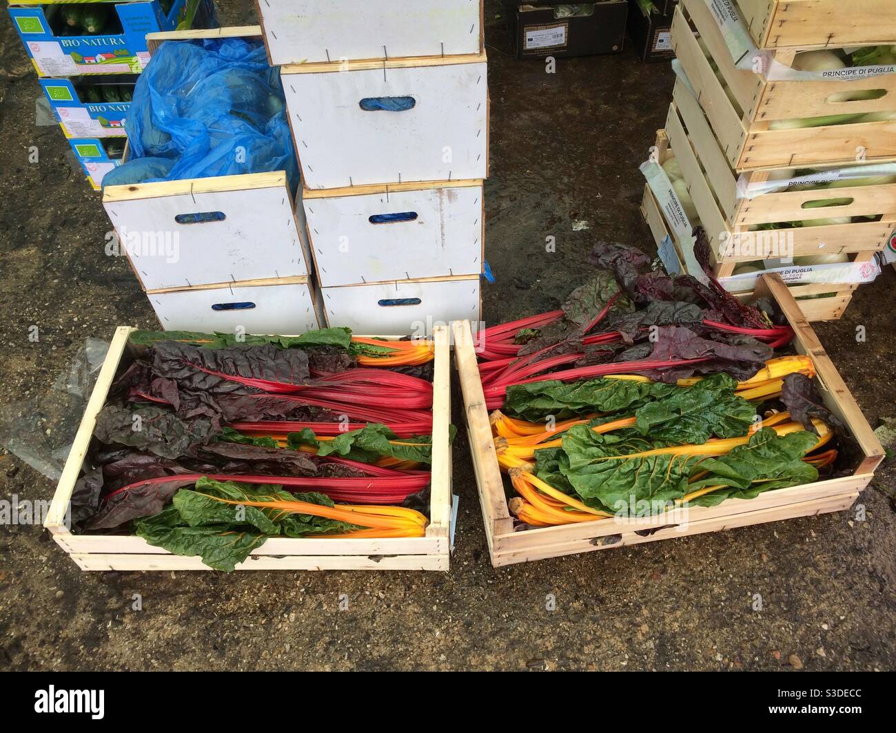 Crates of rainbow chard and other organic produce ready to weighed for ...