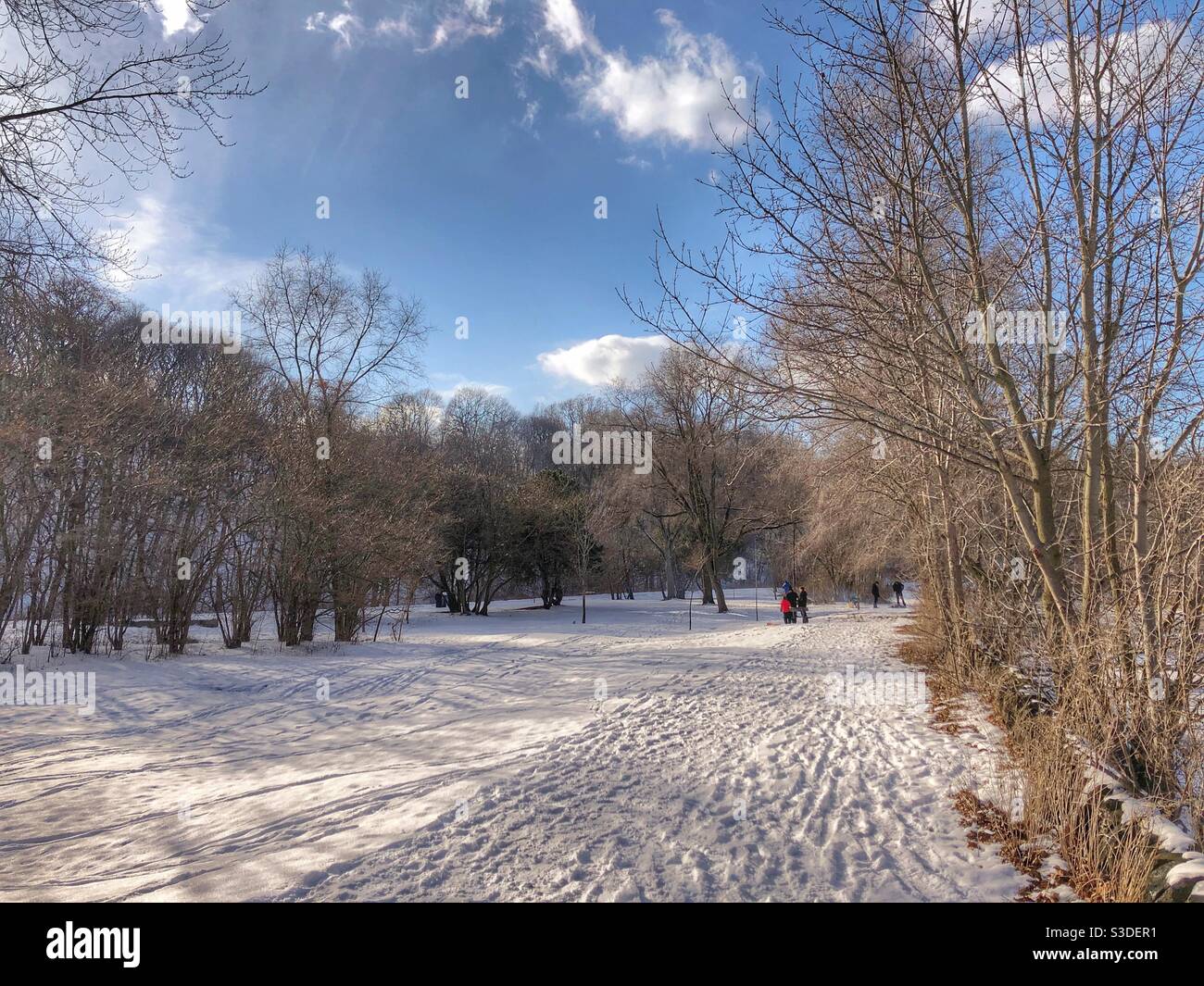 Peaceful winter landscape hi-res stock photography and images - Alamy