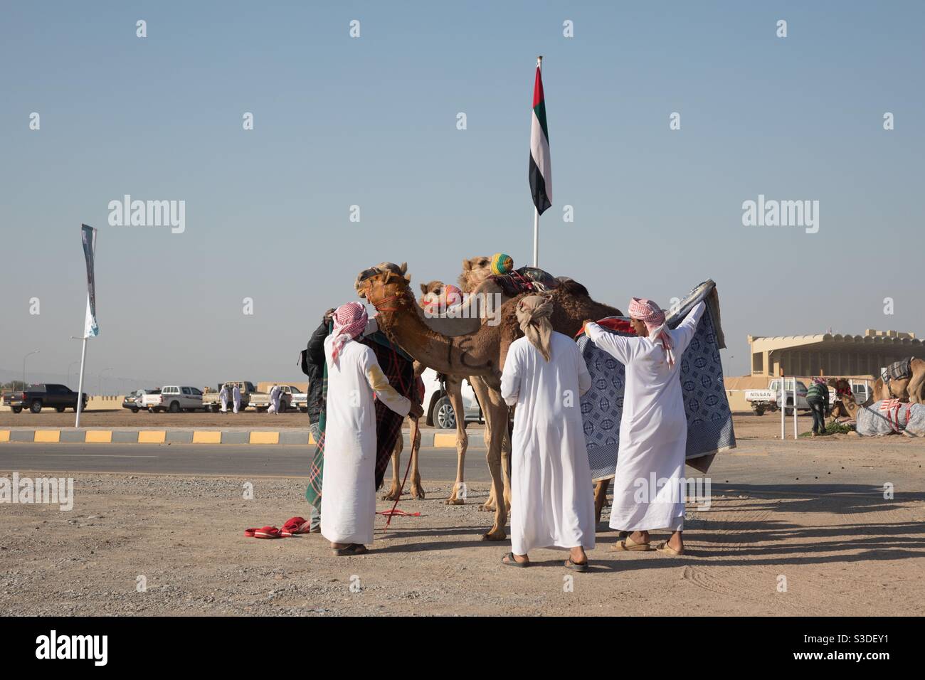 6day hi-res stock photography and images - Alamy