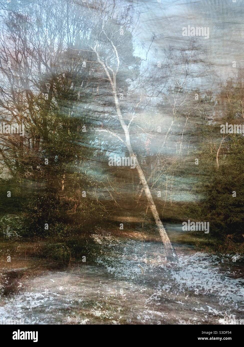 Fantasy tree hi-res stock photography and images - Alamy