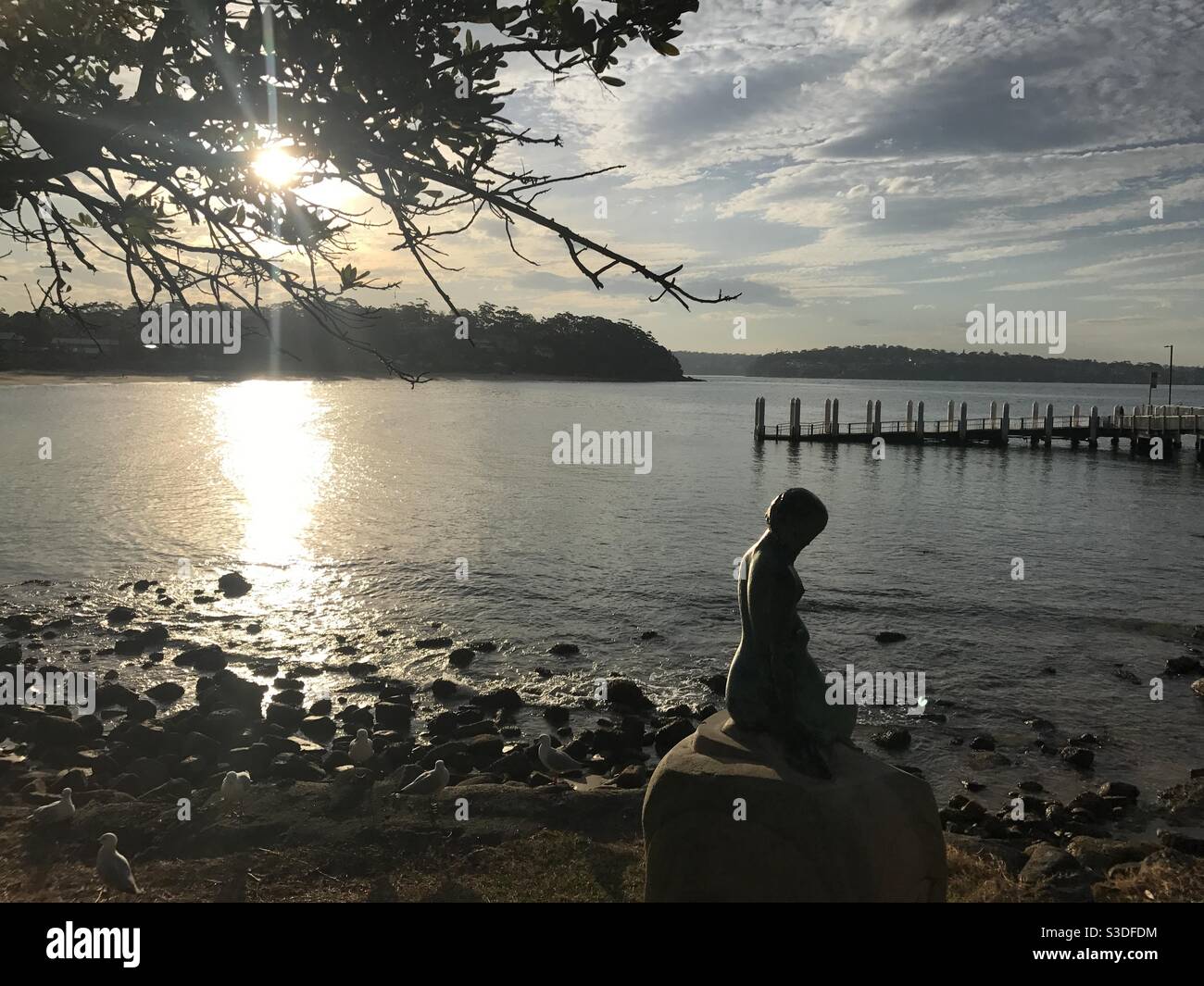 Australian mermaid hi-res stock photography and images - Alamy