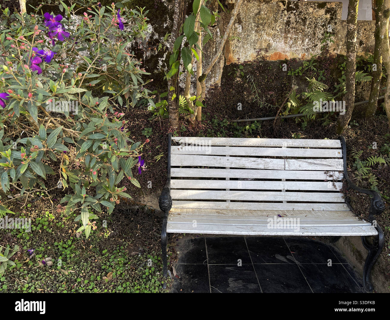 Chair of flowers hi-res stock photography and images - Alamy