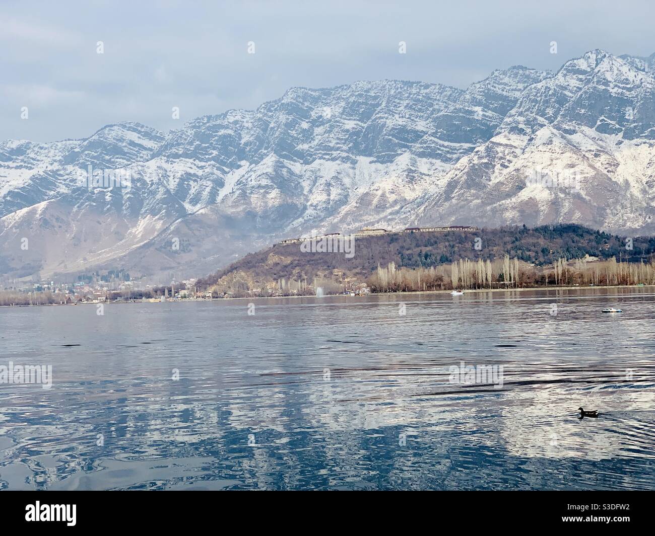 Dal lake srinagar kashmir india hi-res stock photography and images - Alamy