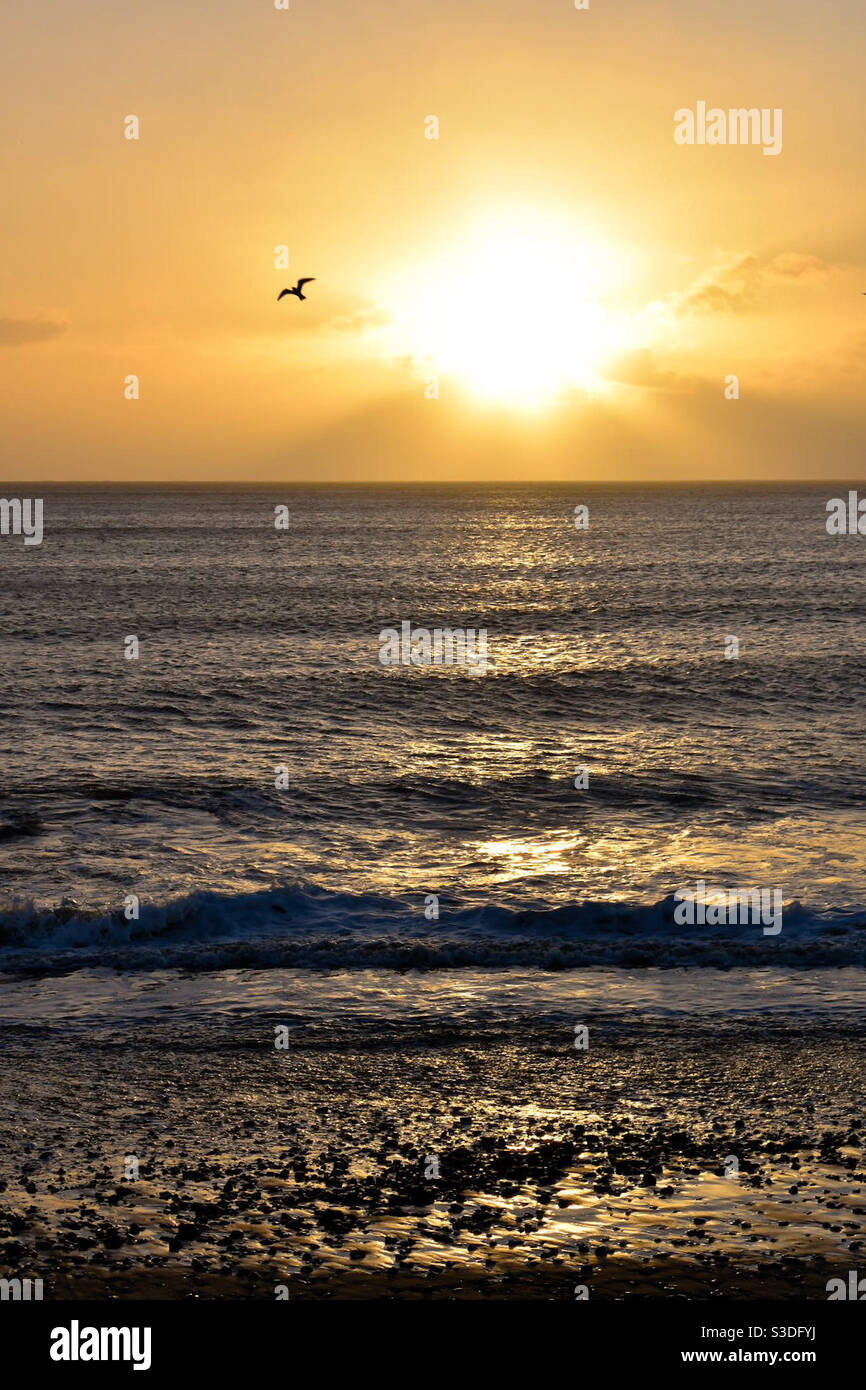 Rosslare beach wexford hi-res stock photography and images - Alamy