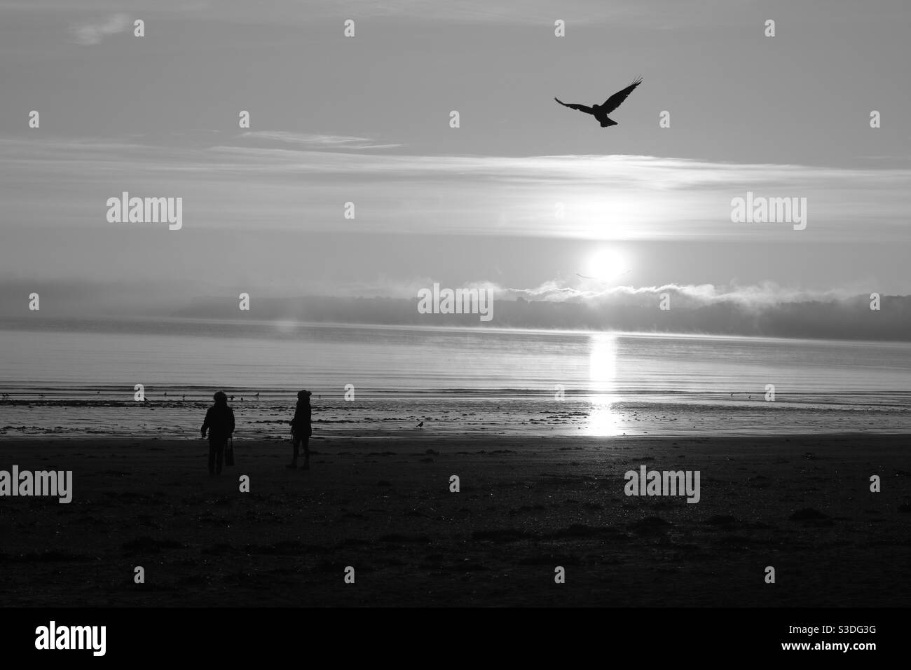 Perfect moment in time hi-res stock photography and images - Alamy