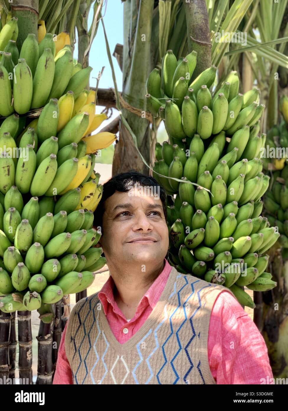 Bananaa hi-res stock photography and images - Alamy