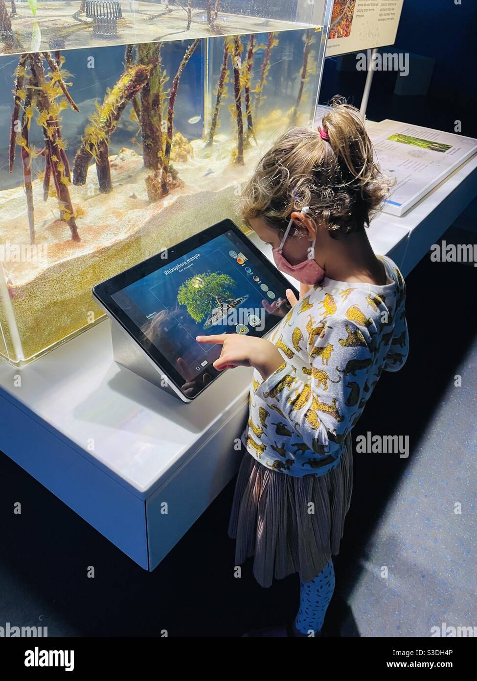 A little girl with the ponytail Using the touchscreen screen at a ...