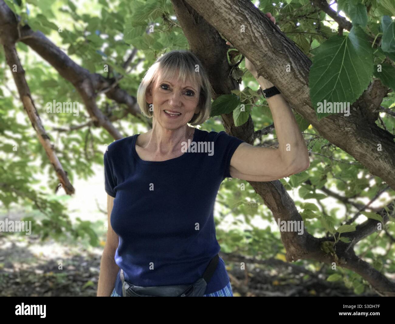 Lady tree hi-res stock photography and images - Alamy