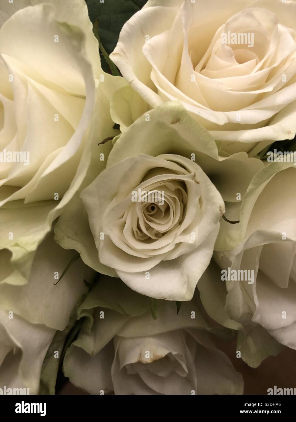 Goodbye vintage hi-res stock photography and images - Alamy