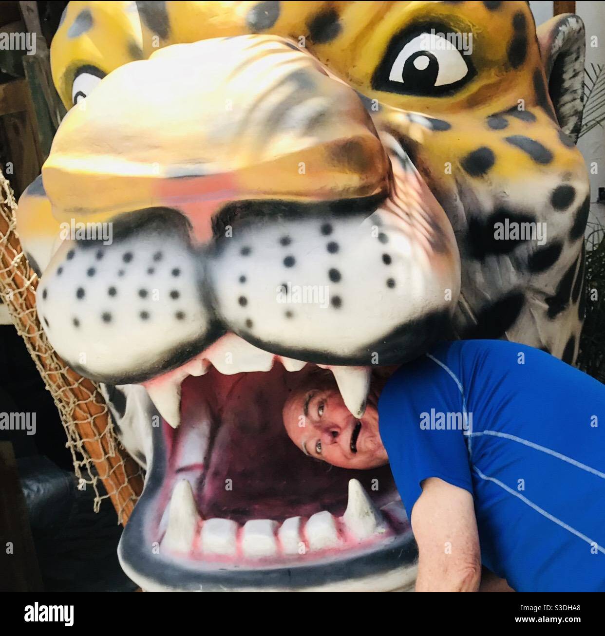 Danger situation hi-res stock photography and images - Alamy