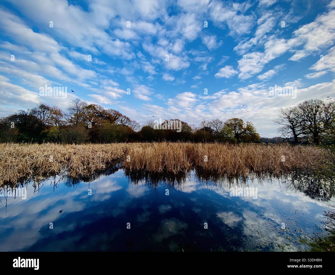 Hollow ponds hi-res stock photography and images - Alamy