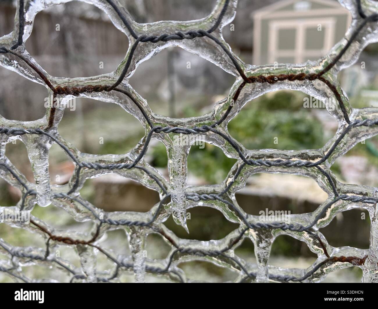 Frozen wire hi-res stock photography and images - Alamy