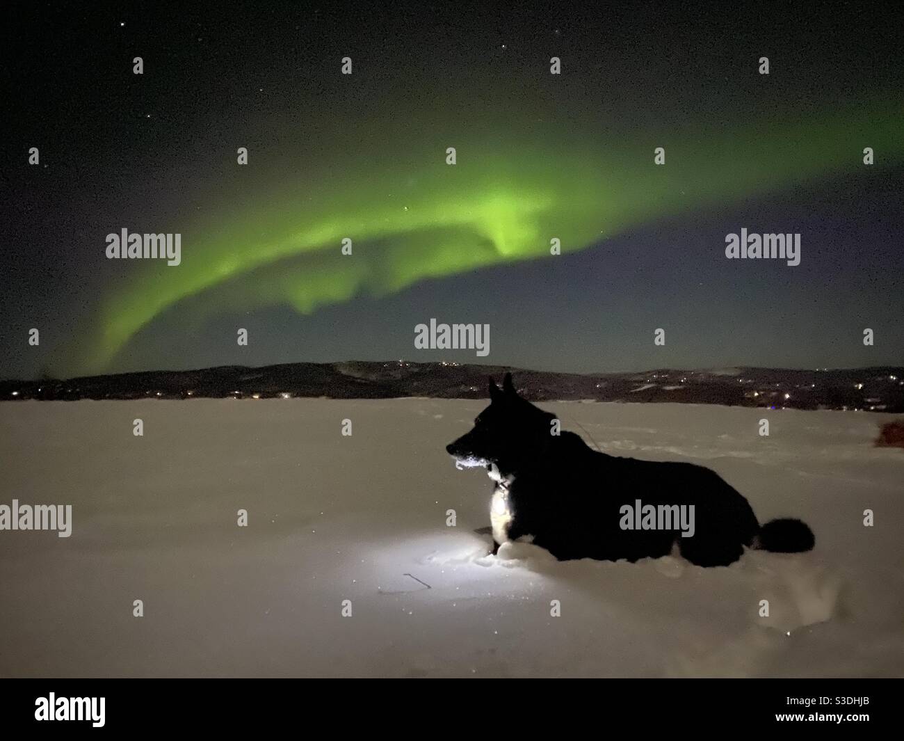 The northern lights in alaska hi-res stock photography and images - Alamy