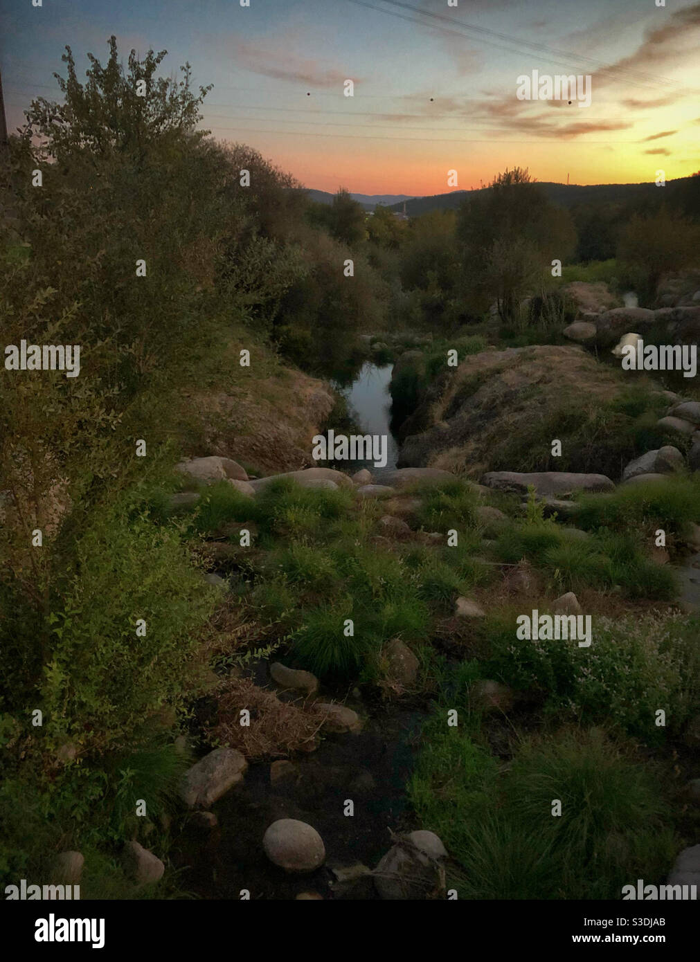 Countryside stream at dusk Stock Photo - Alamy