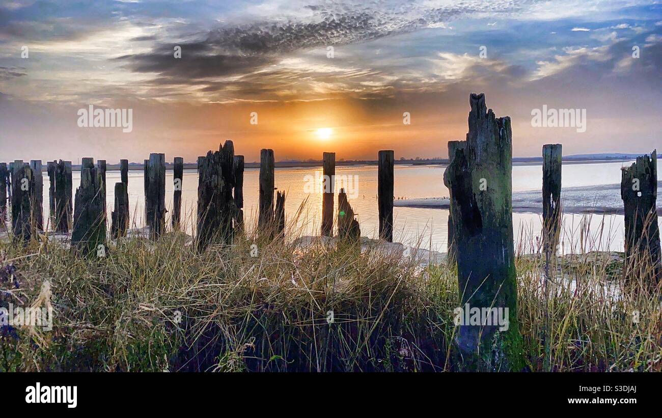 Thames marshes hi-res stock photography and images - Alamy