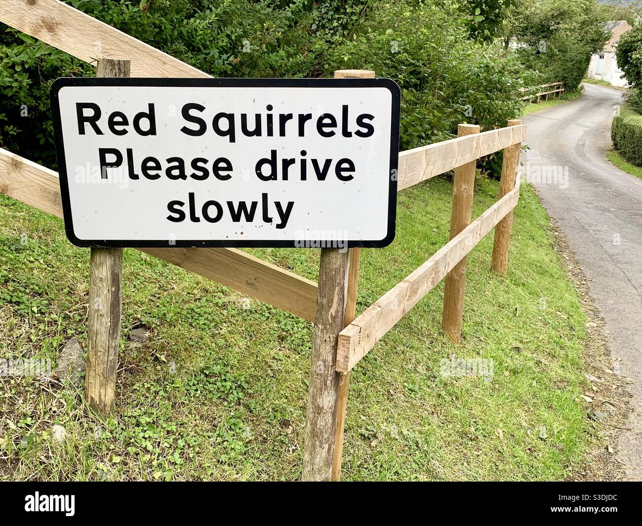 Red squirrels road sign hi-res stock photography and images - Alamy