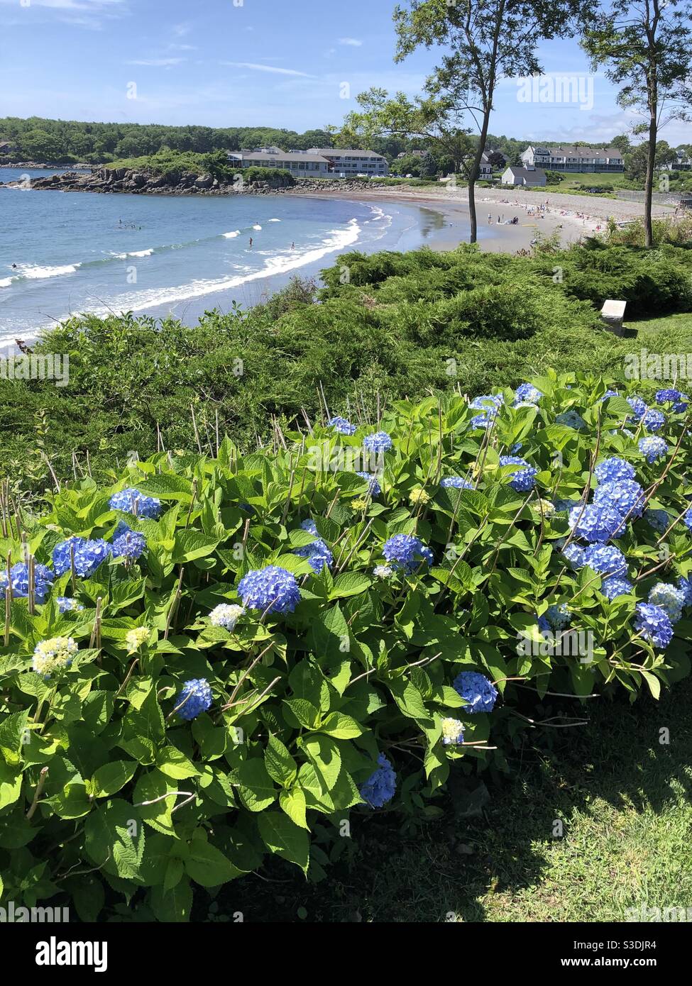 Surf flowers hi-res stock photography and images - Alamy