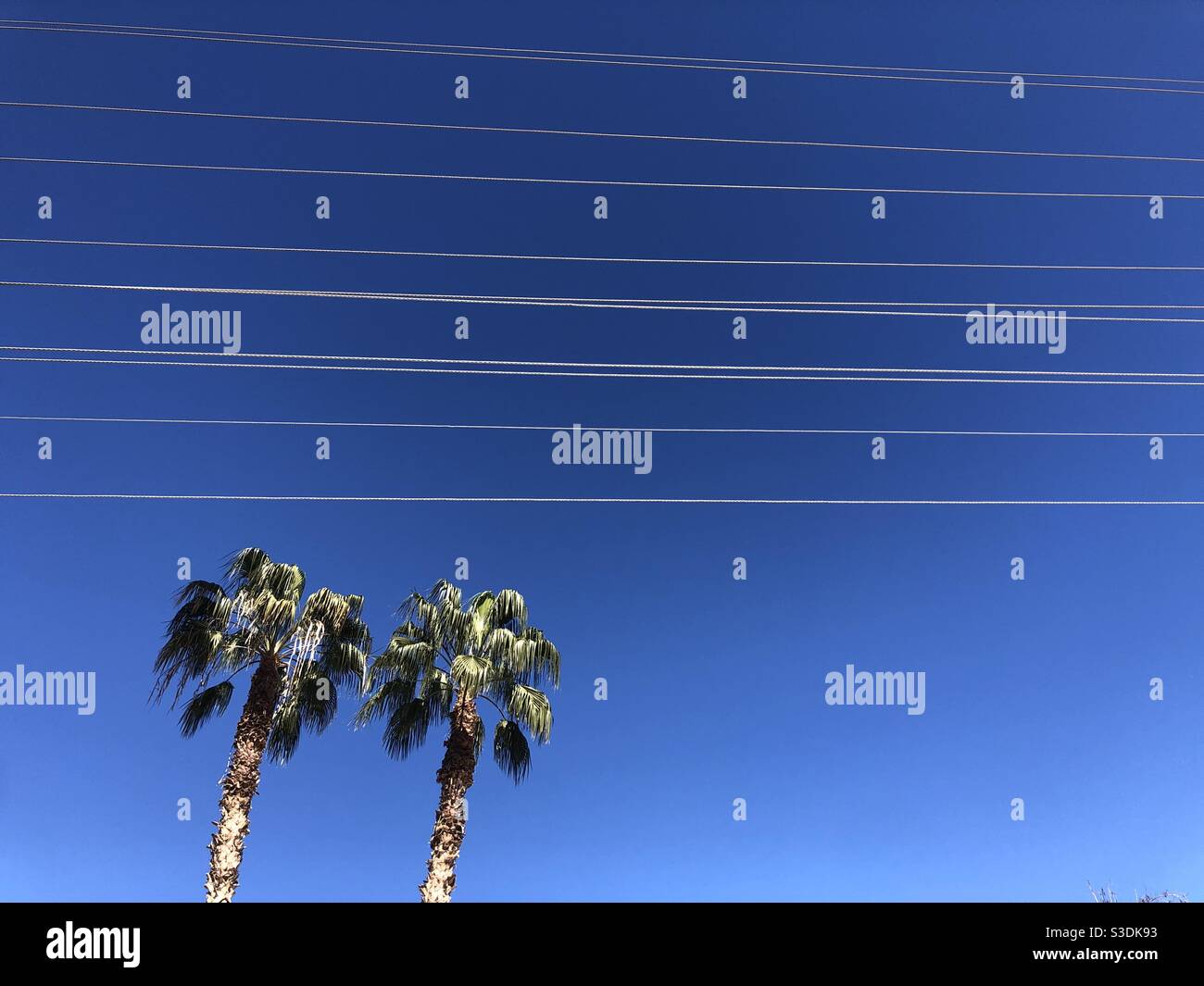 Cable power lines hi-res stock photography and images - Alamy